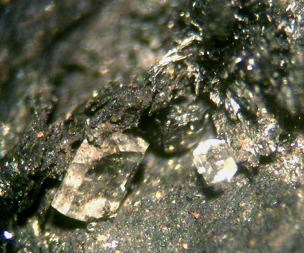 Bituminous-coal: Mineral information, data and localities.