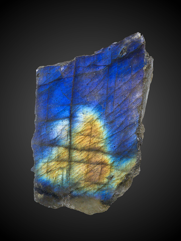 Anorthite (Var: Labradorite)