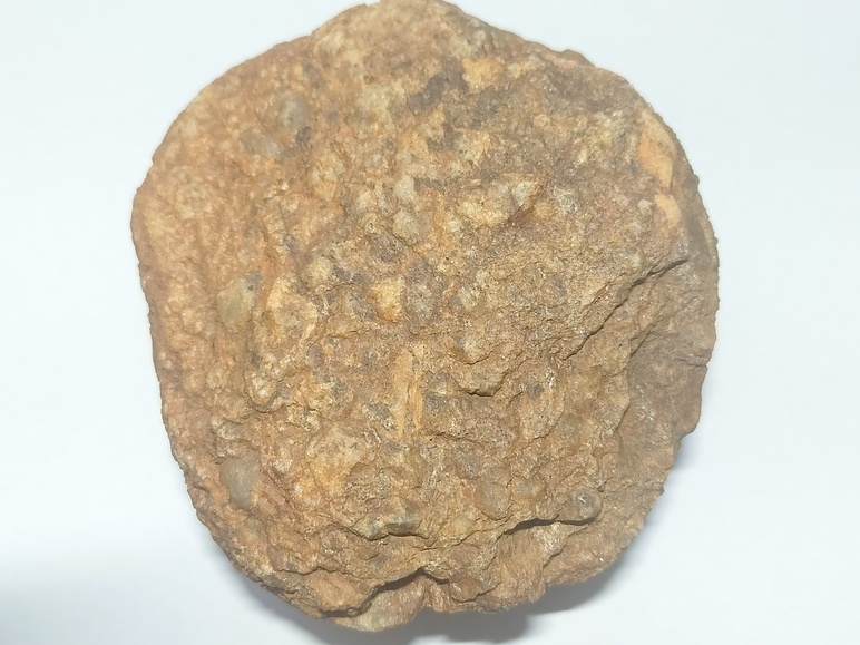 Metaconglomerate: Mineral information, data and localities.