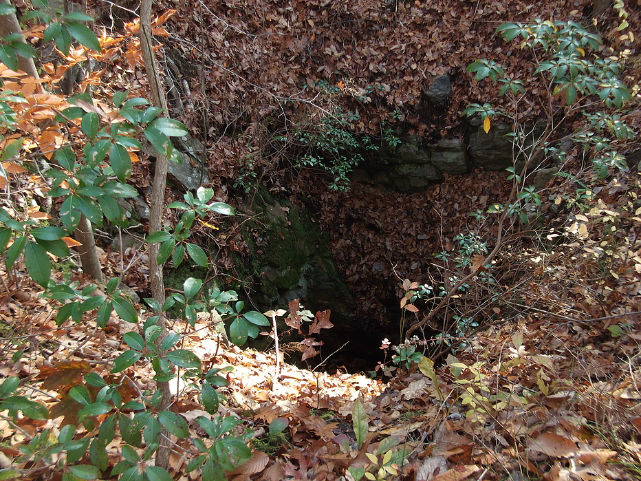 Copper Mine shaft, Edison Mine, Sparta Township, Sussex County, New ...
