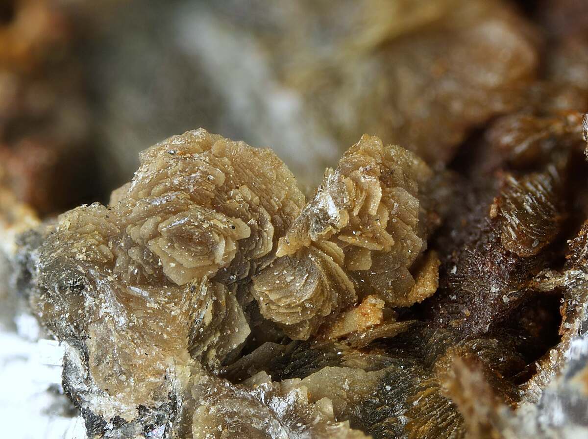 Drugmanite, Galena, Pyromorphite