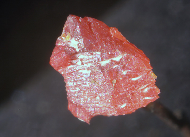 Zincite