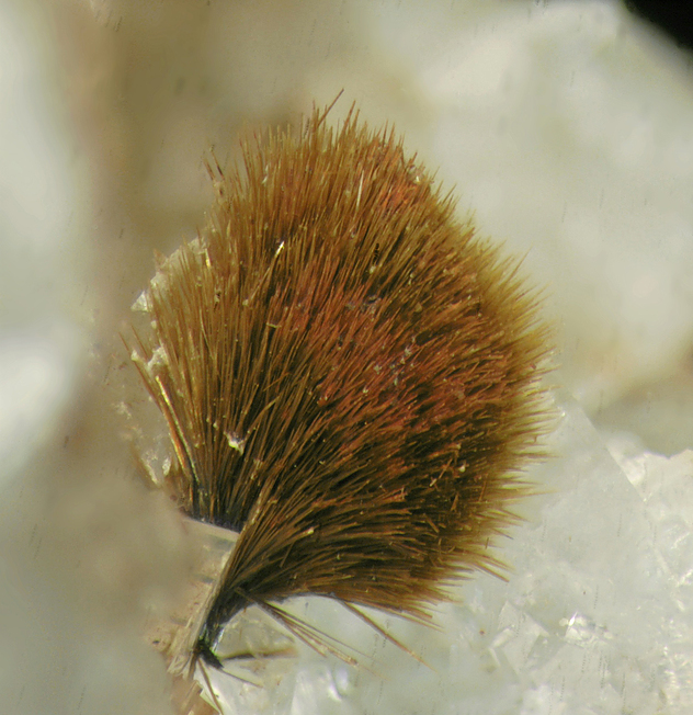 Goethite: Mineral information, data and localities.