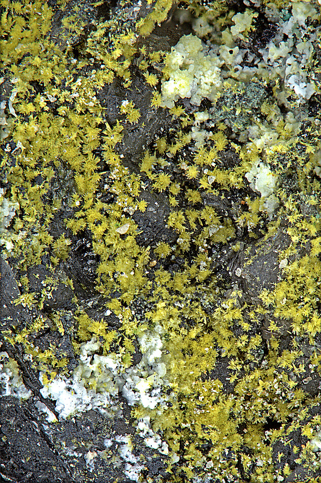 04462320017271927529848.jpg?cachekick=1