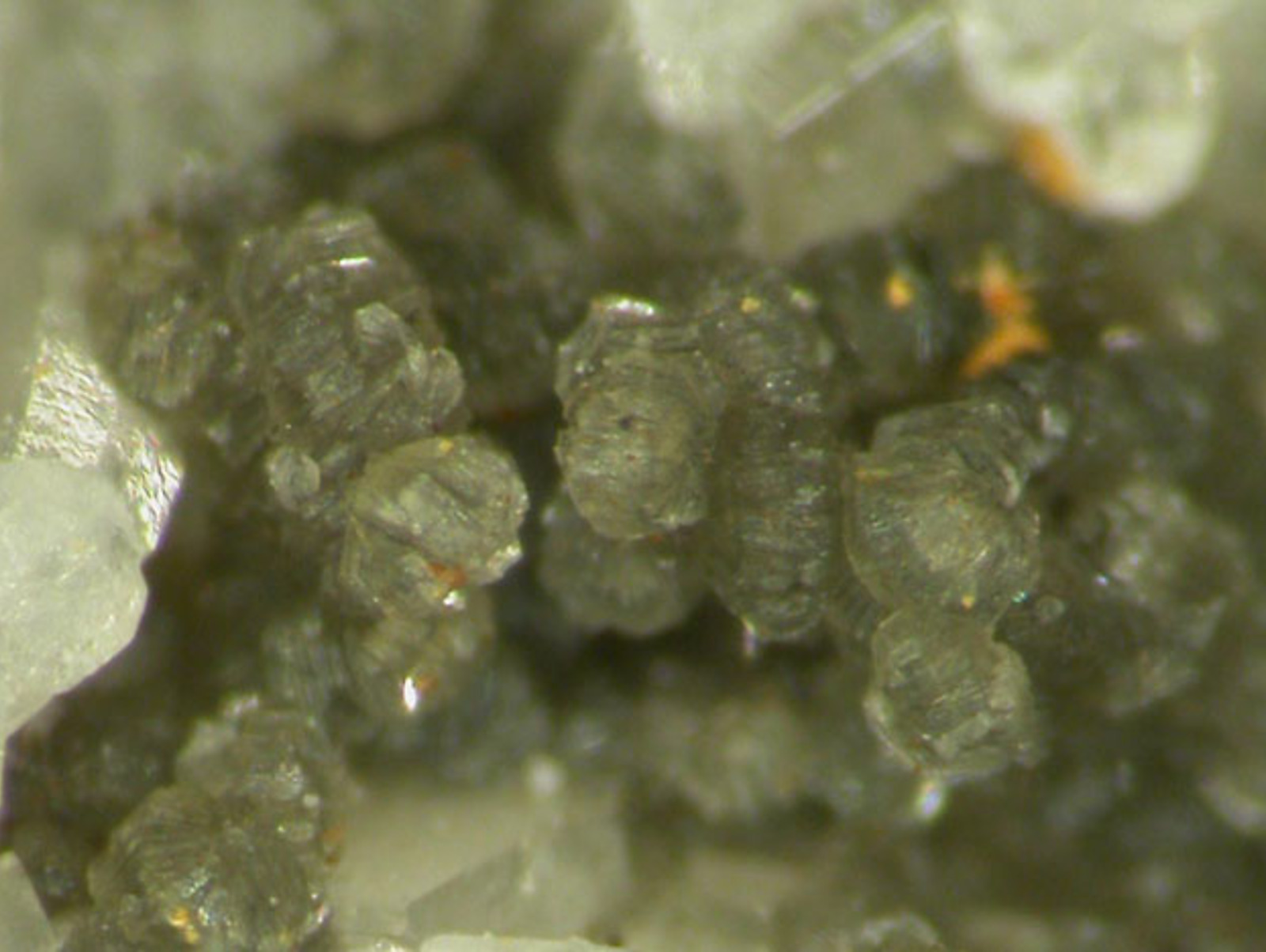 Chlorite Group, Talc