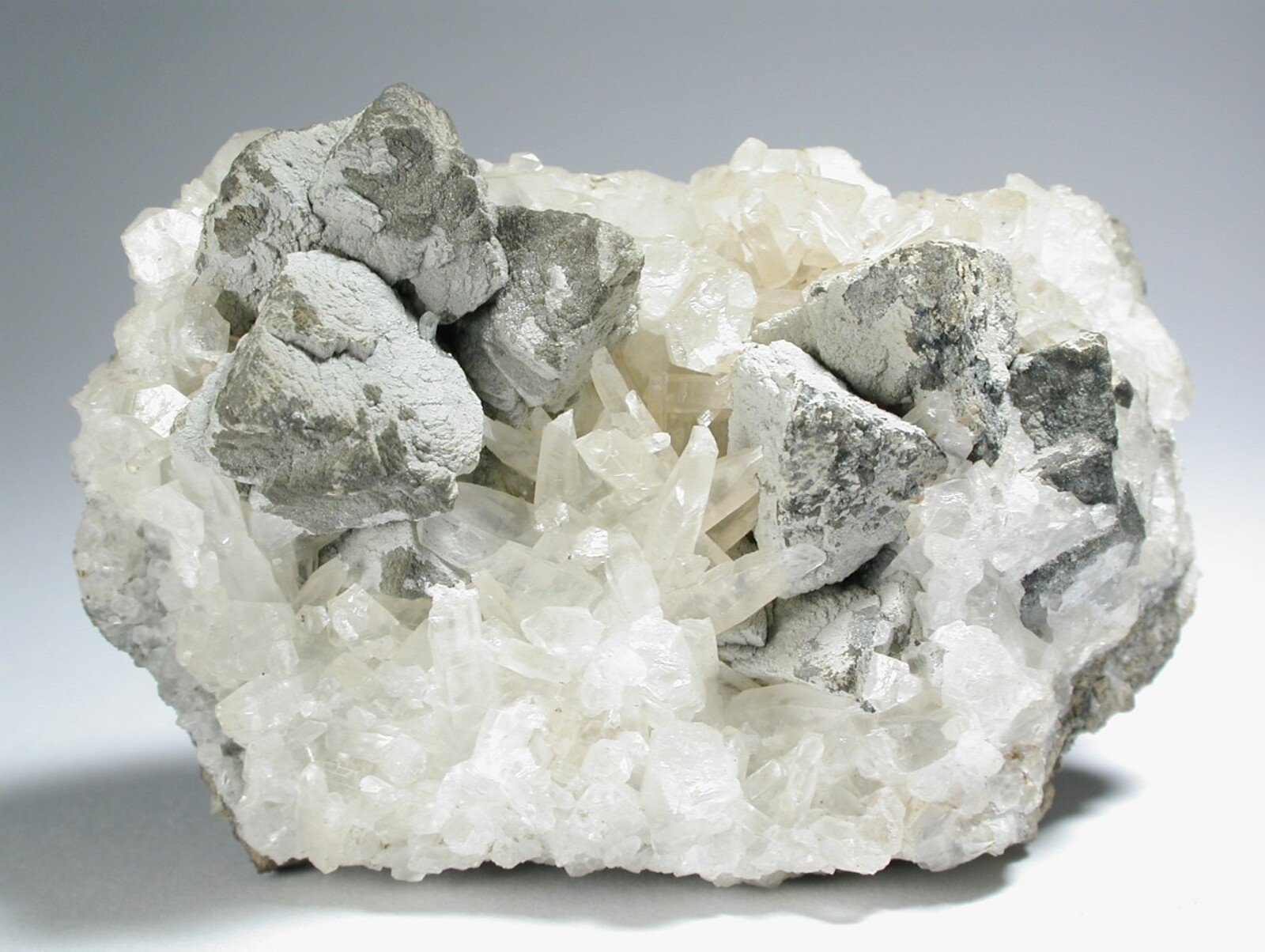 Sample with 5x3x2cm - Self-collected in June of 1989