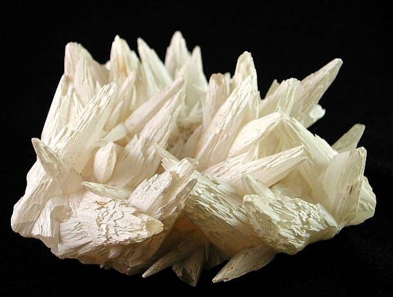 Strontium-rich Calcite: Mineral information, data and localities.