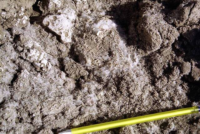 Thénardite, Inyoite