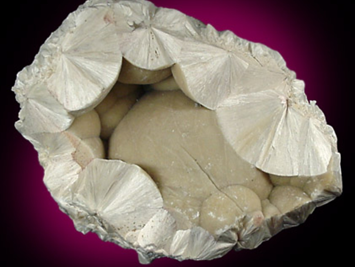 © Frank A. Imbriacco III