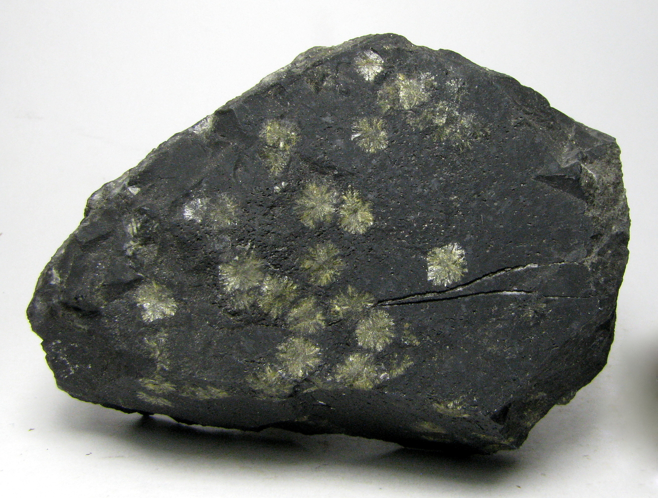 Astrolite: Mineral information, data and localities.