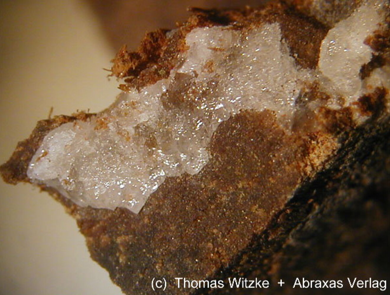 Simonellite: Mineral information, data and localities.