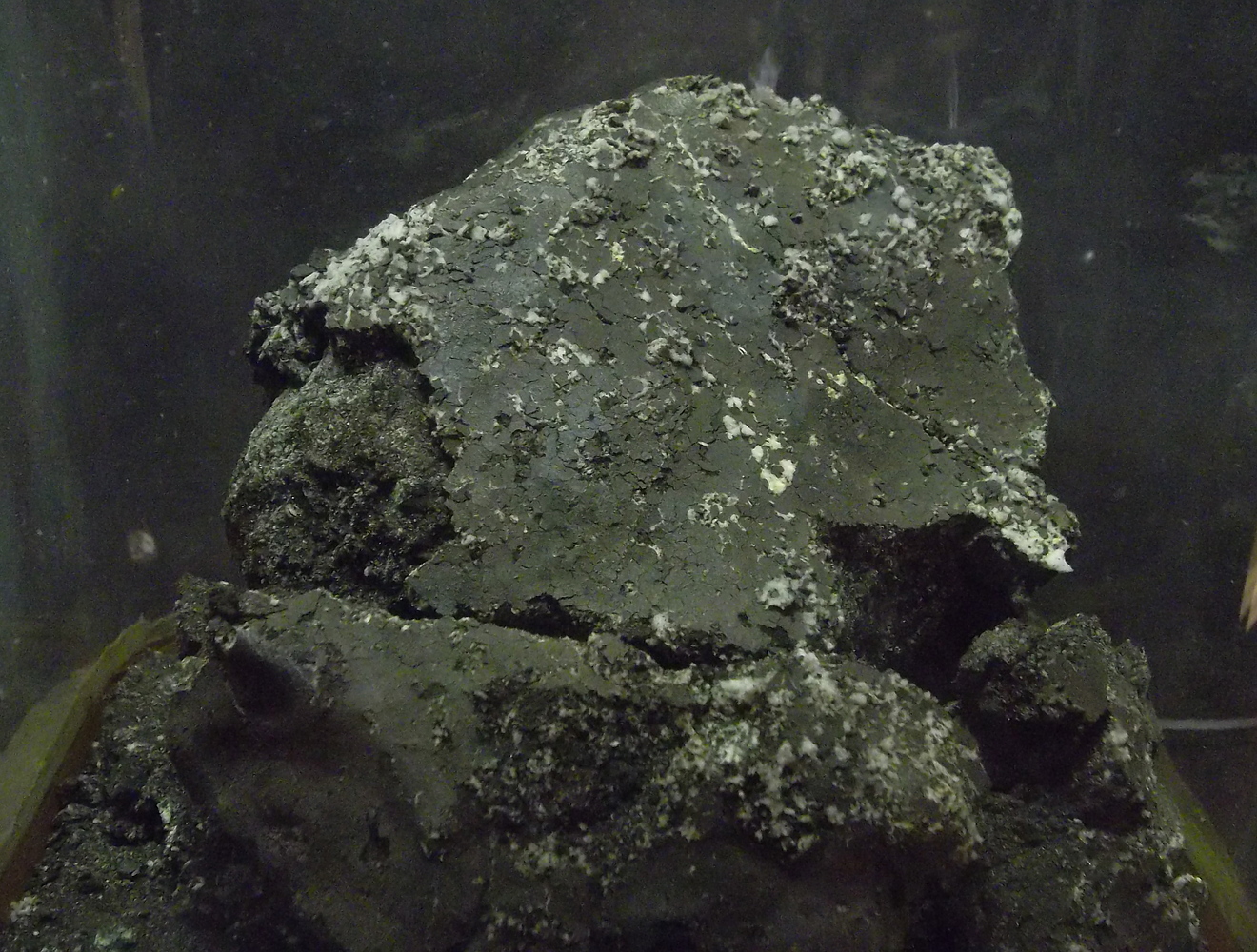 Orgueil meteorite, Orgueil, Montauban, Tarn-et-Garonne, Occitanie, France