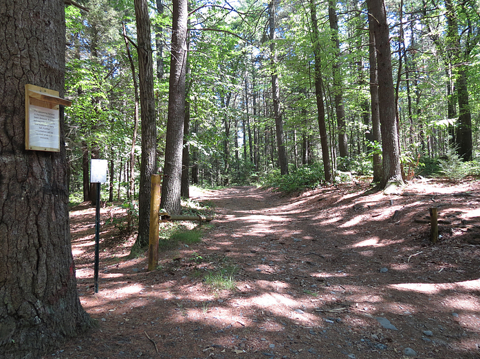 Blood Town Forest, Lancaster, Worcester County, Massachusetts, USA