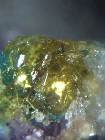 Alcaparrosa Mine, Sierra Gorda, Antofagasta Province, Antofagasta, Chile