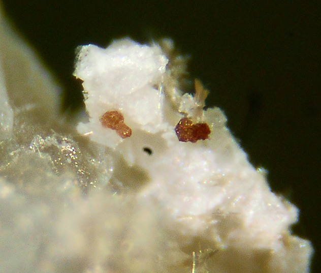 Wakefieldite-(La): Mineral information, data and localities.