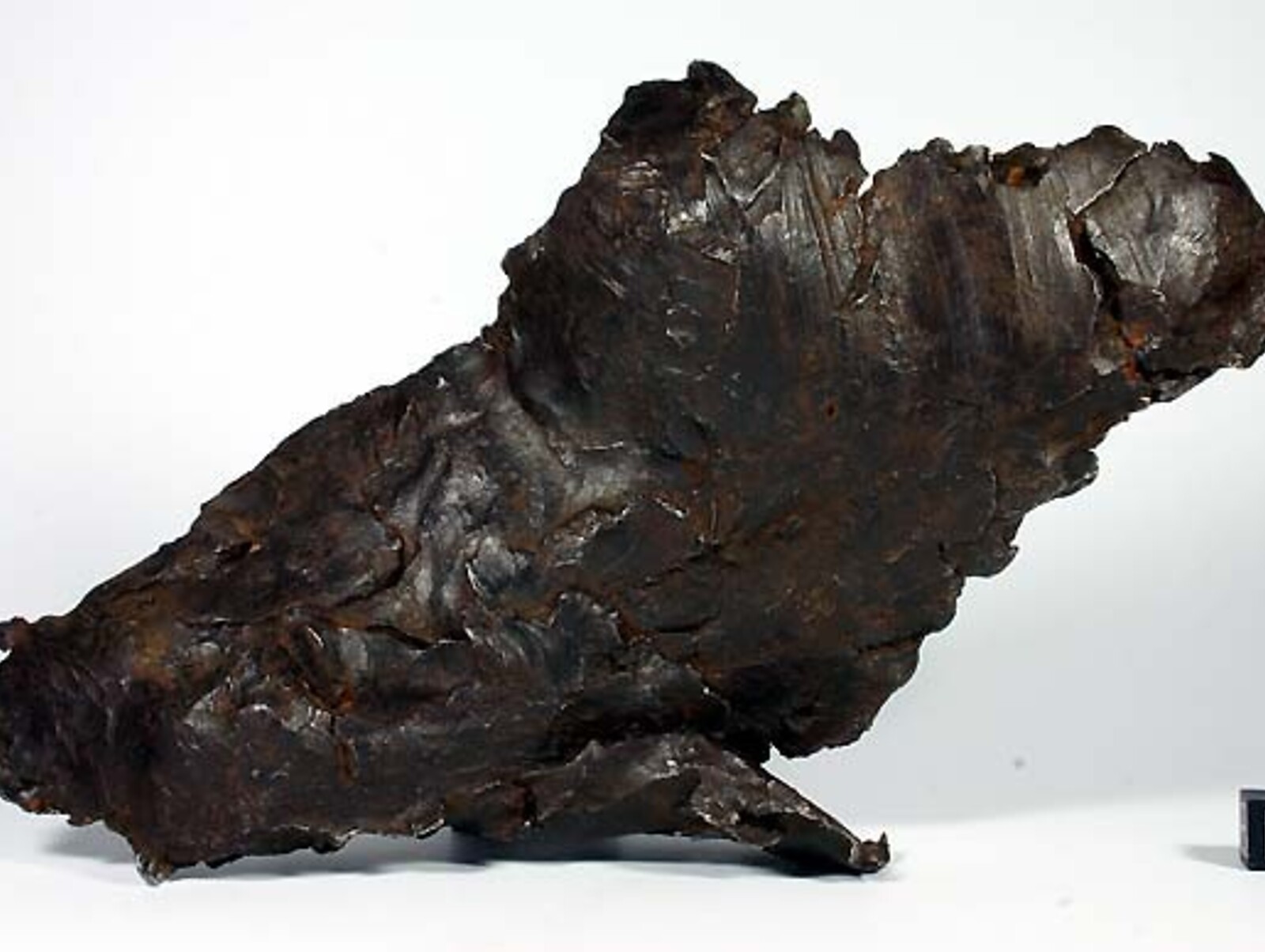 Iron (Var: Kamacite), Taenite, Forsterite, Troilite, Magnesiochromite