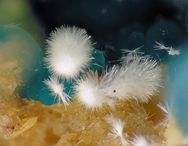 Hydrozincite, Rosasite