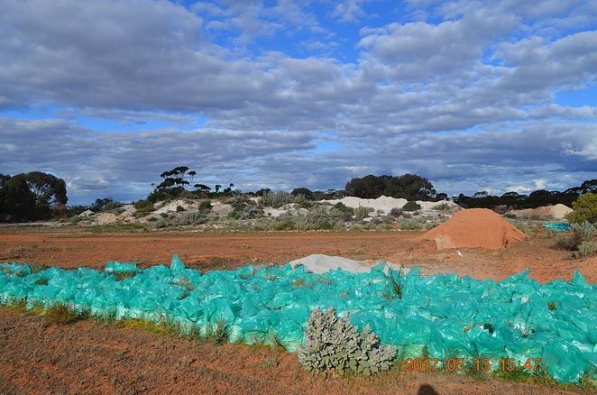Bonnievale Gold Mine (Westralia; Varischetti), Coolgardie, Coolgardie ...