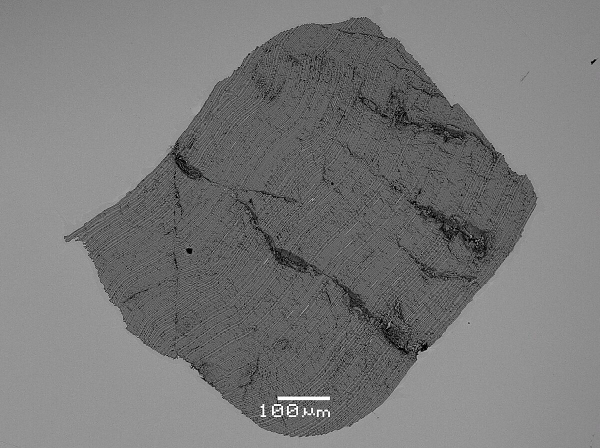 Daubréelite, Troilite, Iron (Var: Kamacite)