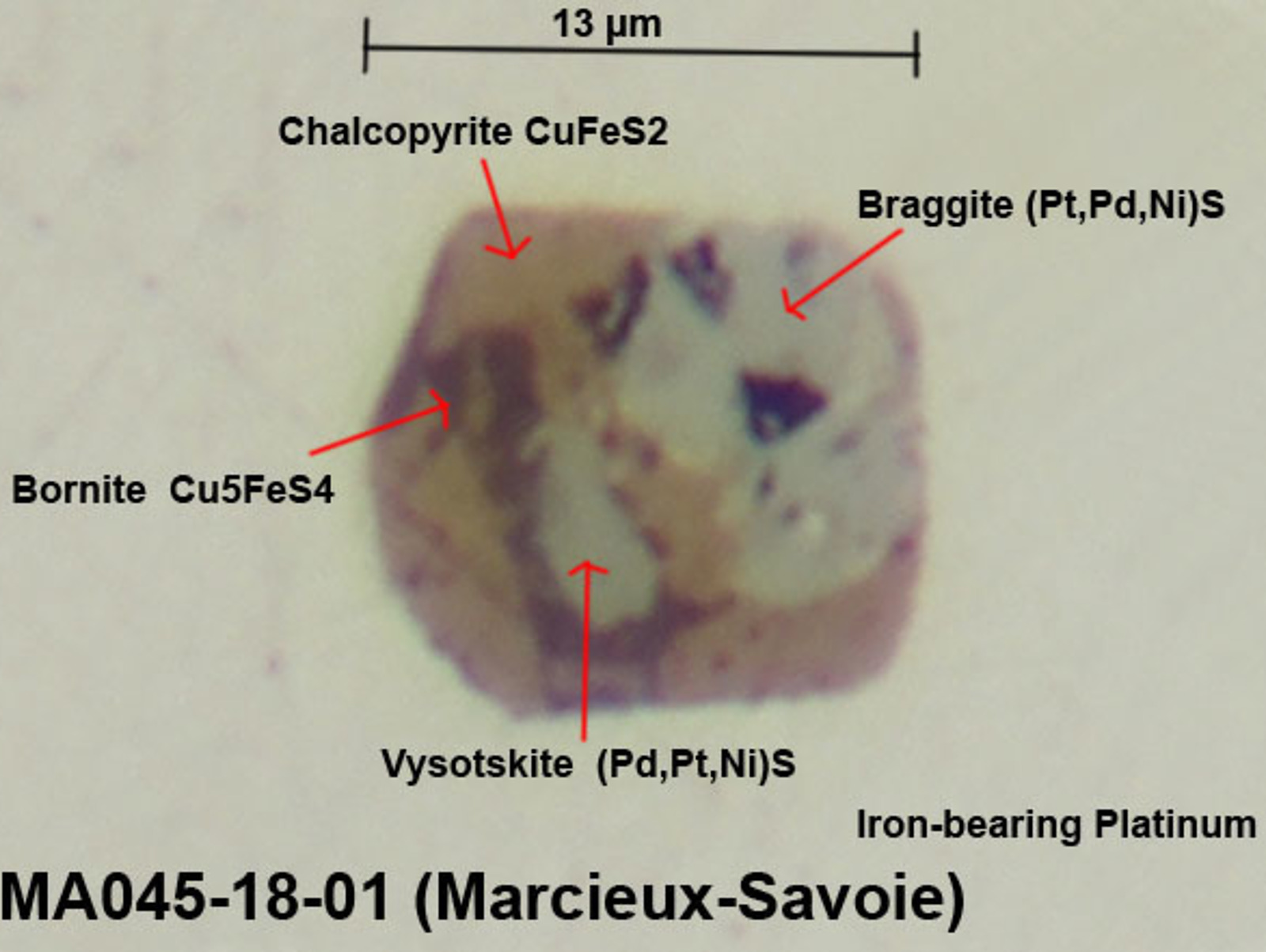 Braggite, Vysotskite, Chalcopyrite, Bornite, Iron-Platinum alloy