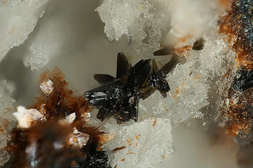 Kieserite Group: Mineral information, data and localities.