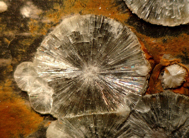 High Down Quarry, West Buckland, North Devon, Devon, England, UK