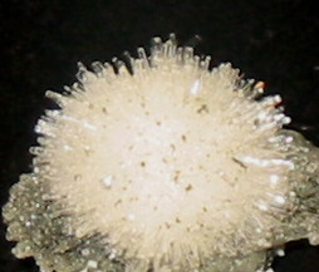Natrolite
