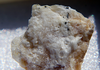 02193150017366696392329.jpg?cachekick=1