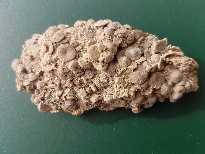 Carbonate rock: Mineral information, data and localities.