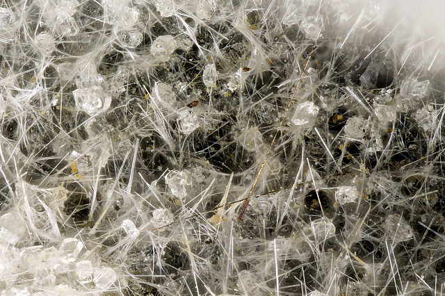 Erionite-K, Clinoptilolite-Ca, Pyrite