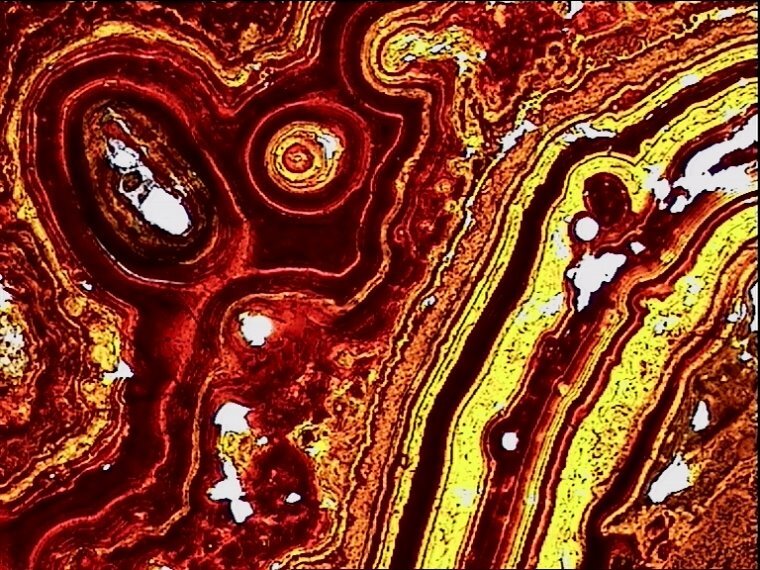 mindat.org - Goethite