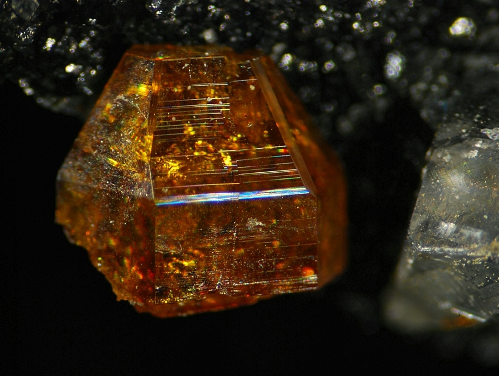 Prospect Park Quarry, Prospect Park, Passaic County, New Jersey, USA