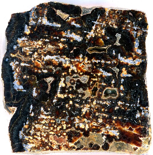 02223780017361175595177.jpg?cachekick=1