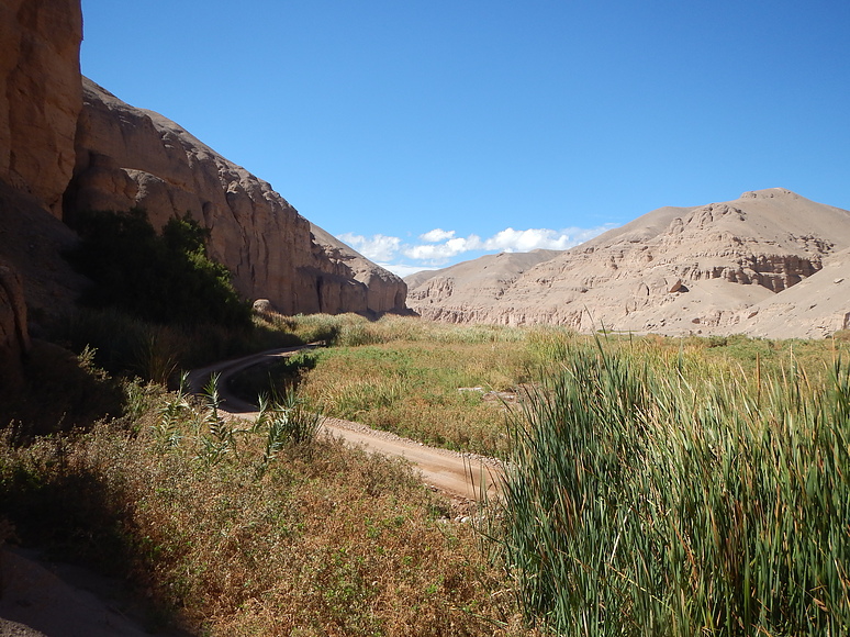 Collahuasi mining district, Pica, Tamarugal Province, Tarapacá, Chile
