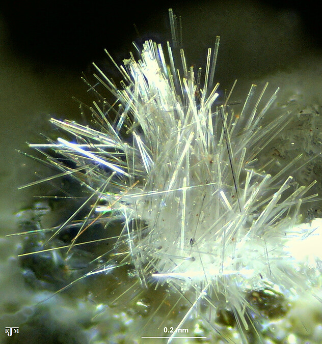 Te Henga Road quarry, Waitakere Ranges, Auckland Region, New Zealand
