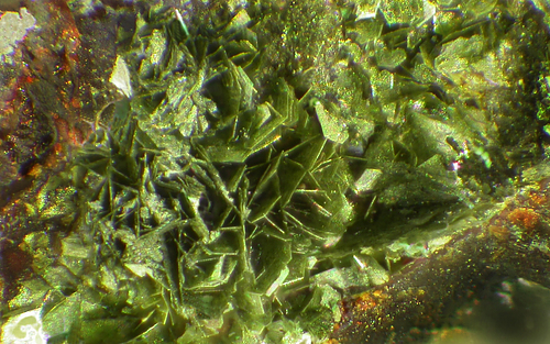 02143980017363342209542.jpg?cachekick=1