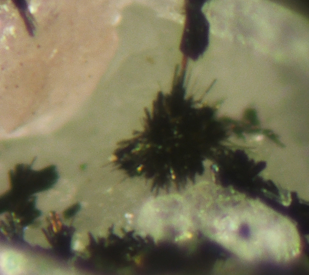 Jacupiranga mine, Cajati, São Paulo, Brazil