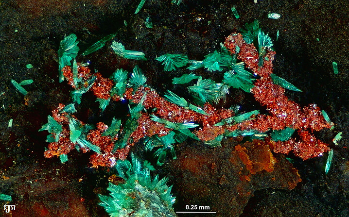 Champion Copper Mine, Aniseed Valley, Nelson Region, New Zealand