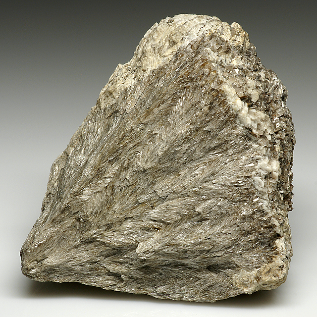 Muscovite