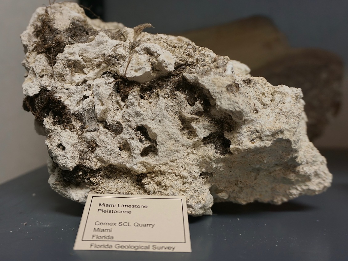 Limestone quarries, Solnhofen, Weißenburg-Gunzenhausen District, Middle ...