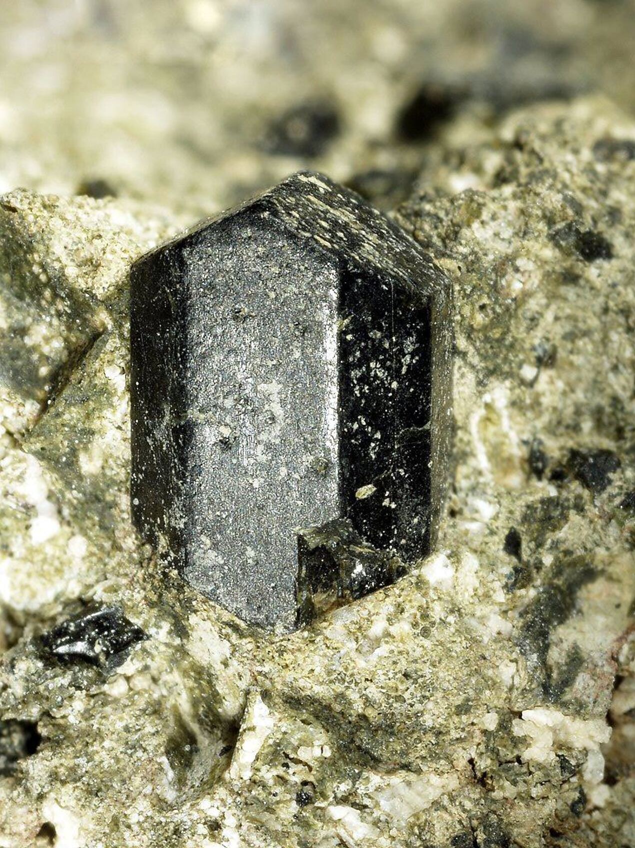 Augite