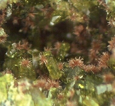 Beidellite-Saponite Series: Mineral information, data and localities.