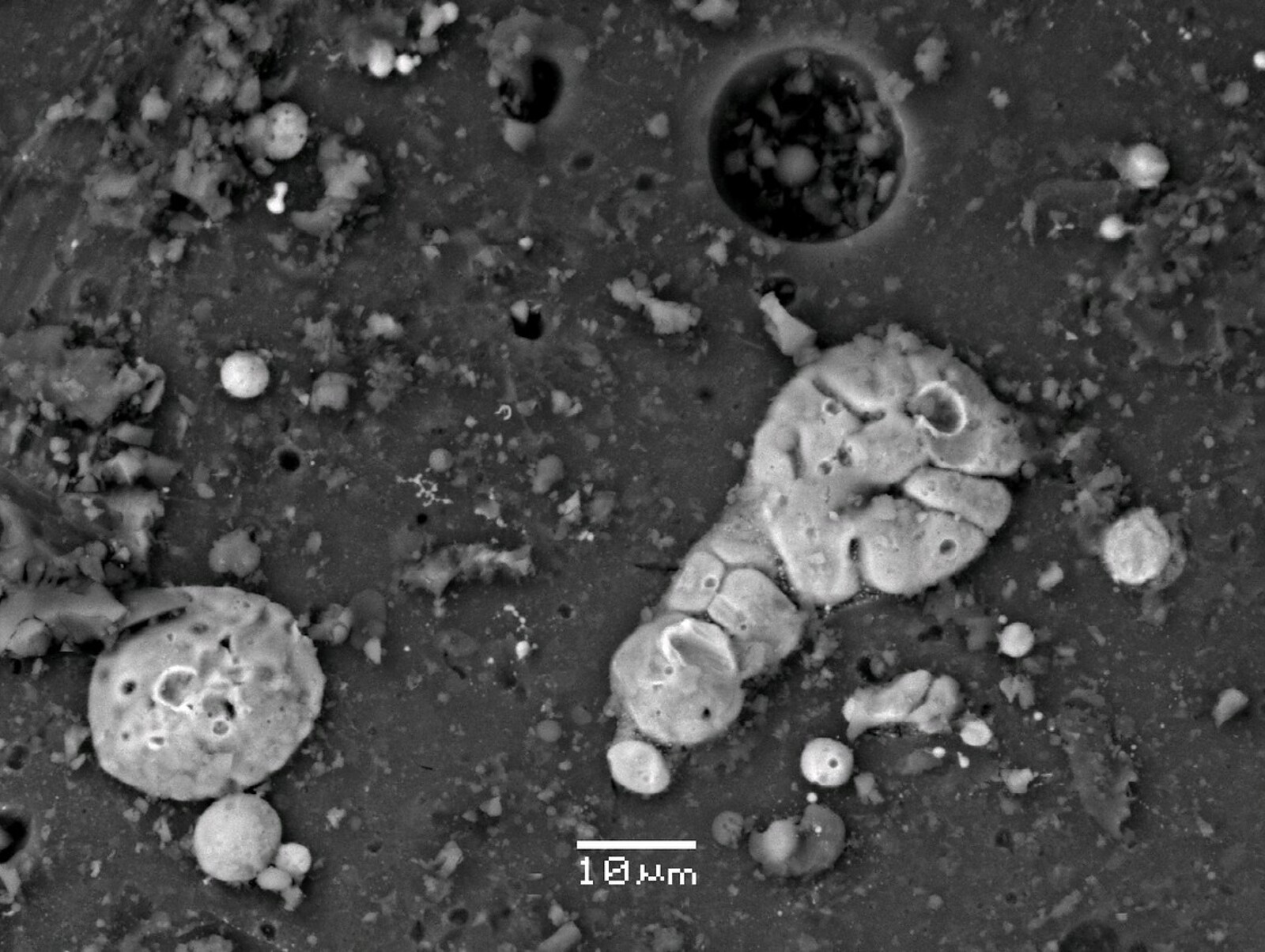 Iron (Var: Kamacite), Taenite, Forsterite, Troilite, Magnesiochromite
