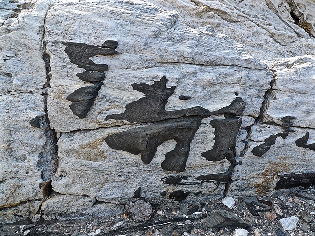 Mylonite: Mineral information, data and localities.