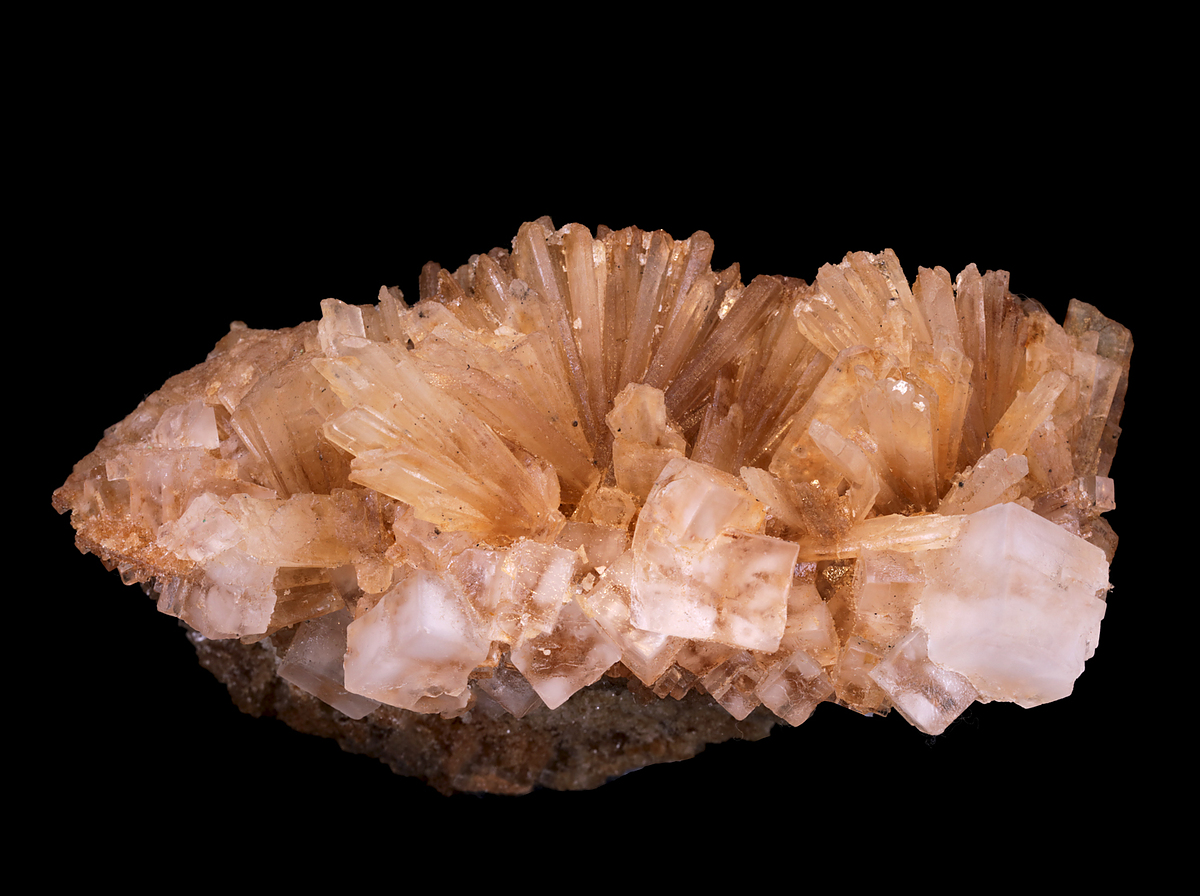 Leonite, Halite