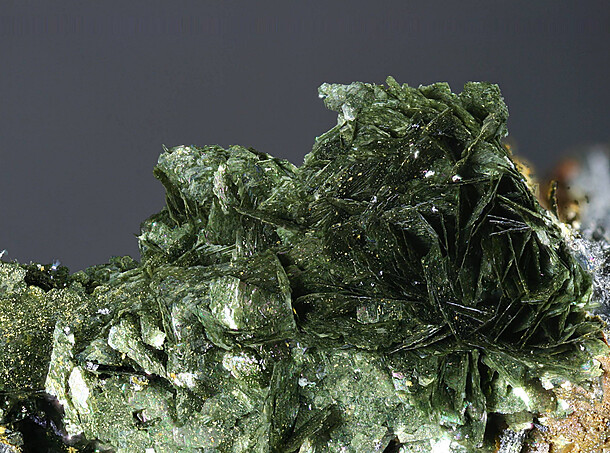 05517110017271951658585.jpg?cachekick=1