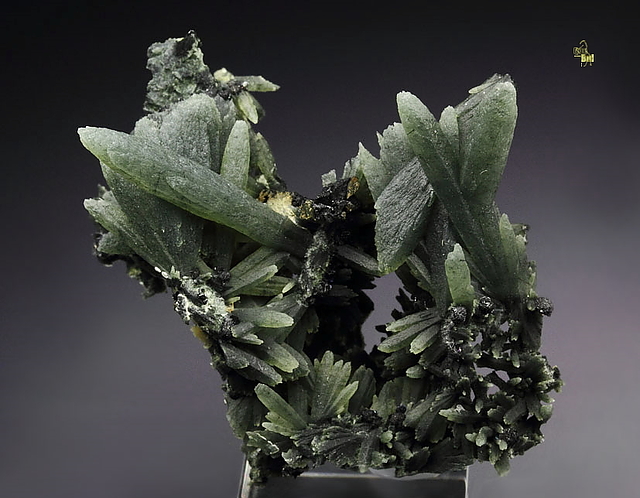 Quartz (Var: Prase), Hematite