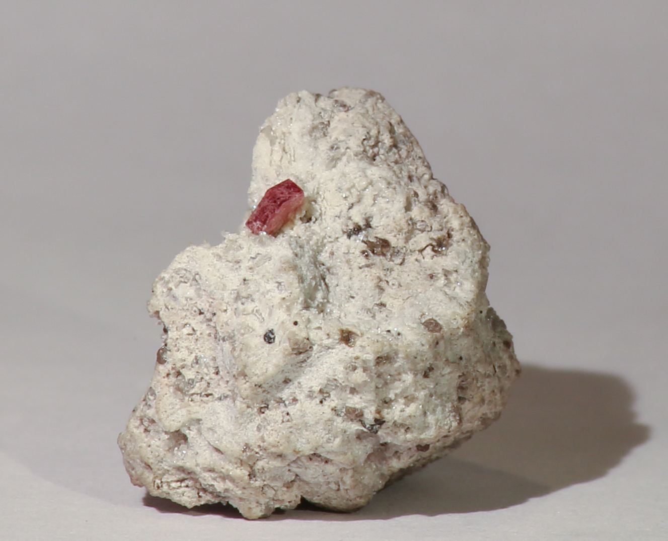 Michael C. Michayluk - A Collector's Guide to Paramount Canyon, New ...