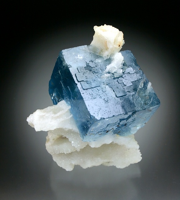 08233510017362732443823.jpg?cachekick=1