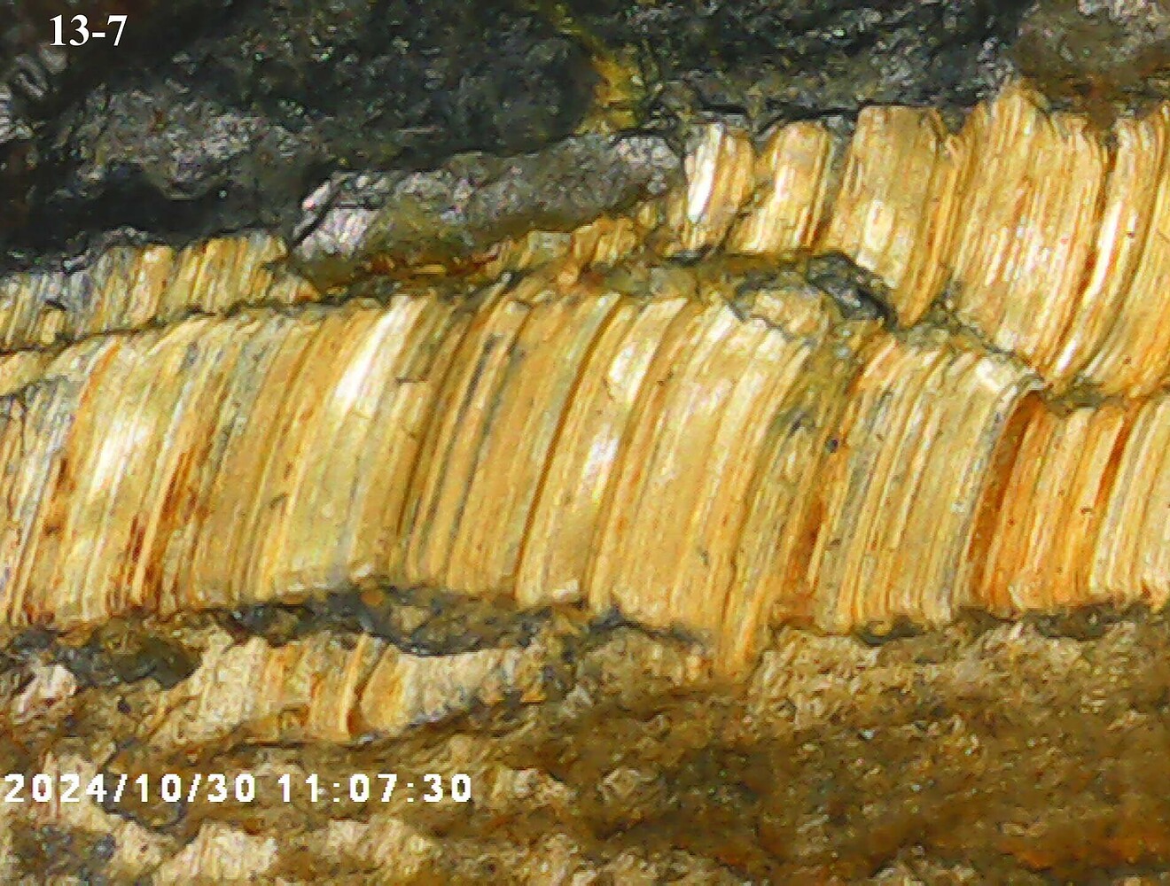 Identity Help : Garden City; Cranston, RI. U.S.A. Grading debris for a ...